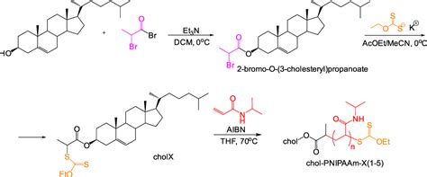 Evaluation Of Cytotoxic Effect Of Cholesterol End Capped Polyn Isopro Ijn