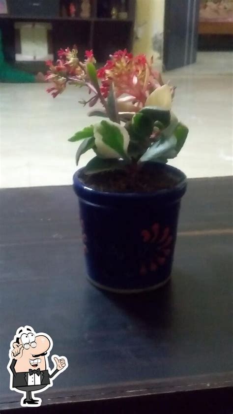 D K Aggarwal New Delhi Restaurant Menu Prices And Reviews