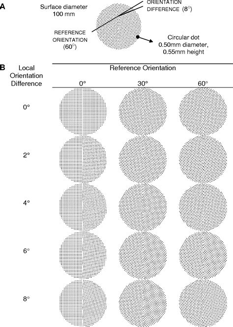 Figure 1 From Haptic Exploration And The Perception Of Texture