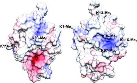 The Electrostatic Potential Surface Adaptive Poisson Boltzmann Solver Download Scientific