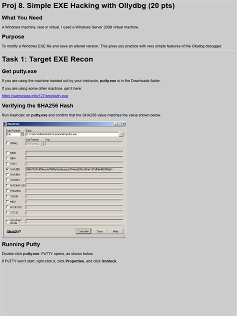 proj 8 simple exe hacking with ollydbg 20 pts pdf assembly language computer architecture