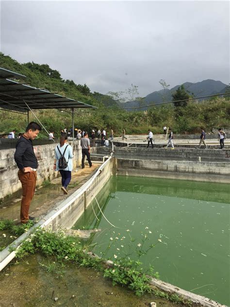 广西南宁市富民鱼苗场