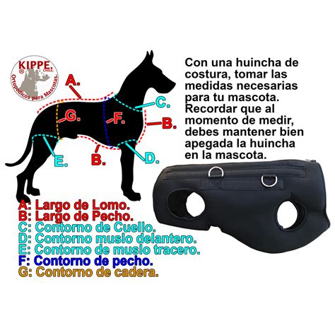 Body`s Ortopedico Kippe