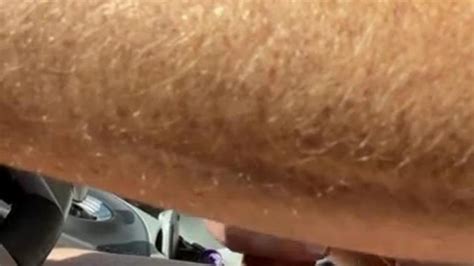 Fully Naked Driving Pull Up Next To Pickup W Porn Videos