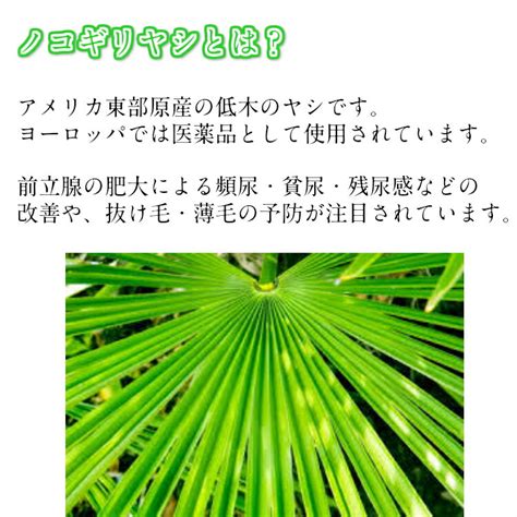 ノコギリヤシ サプリ C Gardenノコギリヤシpremium 60粒 育毛 頻尿 健康 前立腺 髪 薄毛 抜け毛 中高年 男性 人気