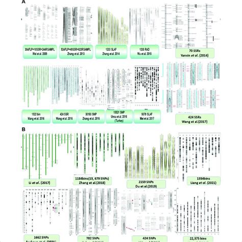The Status Of Sesame Genetic Linkage Maps For Different Traits Using