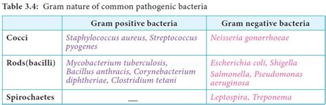 Differential Staining Method Procedure Principle Importance