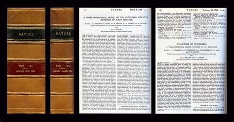 A Three Dimensional Model Of The Myoglobin Molecule Obtained By X Ray Analysis In Nature 181