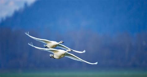 Econometrics Module 5 Simultaneous Equation Models