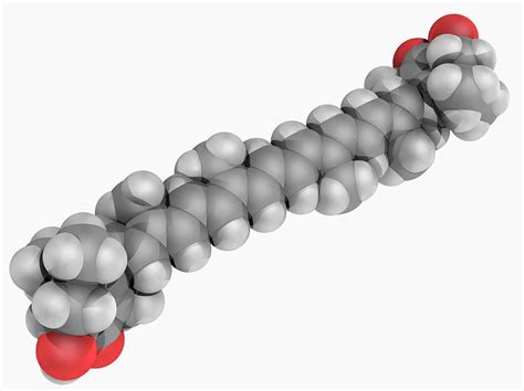 Astaxanthin Molecule Photograph By Laguna Designscience Photo Library