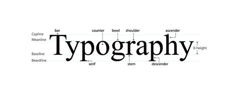 Mastering Tailwind Font In React For Beautiful Text Blogs