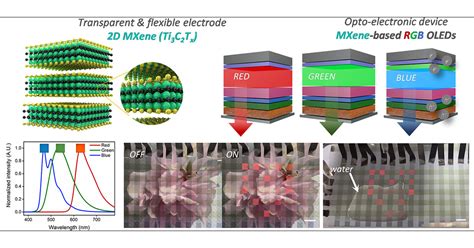 Flexible Organic Light Emitting Diode