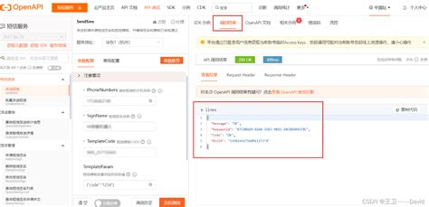 阿里云 短信服务发送短信验证码图文教程 阿里云开发者社区