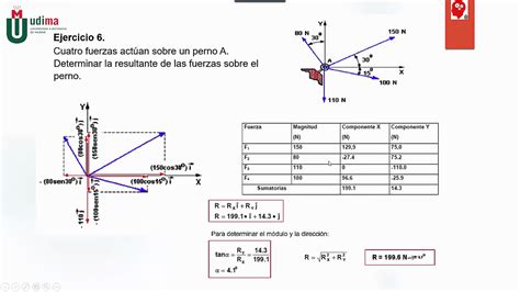 5 Ejemplos De Magnitudes Escalares Arbol
