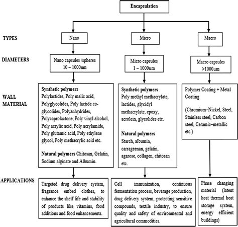 Different Types Of Encapsulation 6065 Download Scientific Diagram