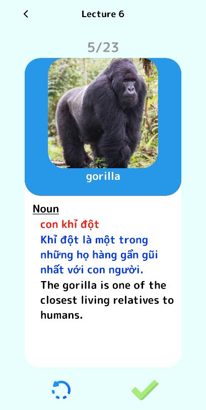 Github Truong11062002learning English With Aine A Mobile App For