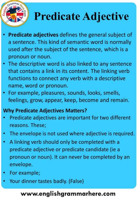 Predicate Nouns Or Predicate Adjectives Worksheet