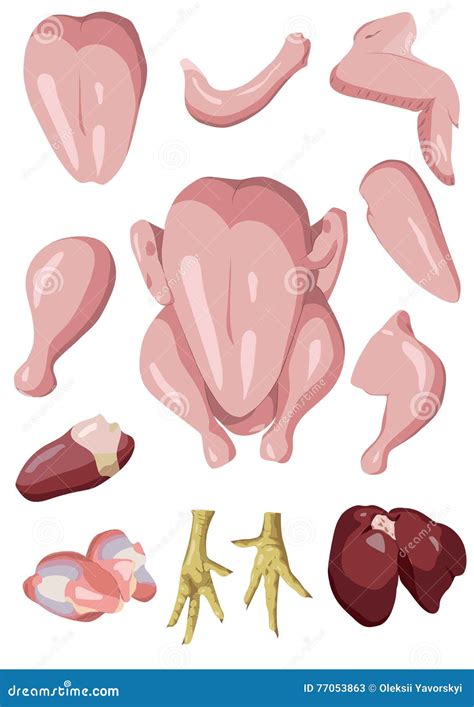 Chicken Gizzard Part Of Chicken At Arthur Dwyer Blog