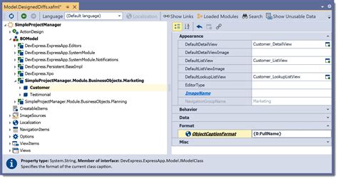 Customize The Application UI And Behavior XAF Cross Platform NET