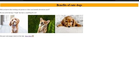 Rishabh Srivastava On Linkedin Day3webdevelopment