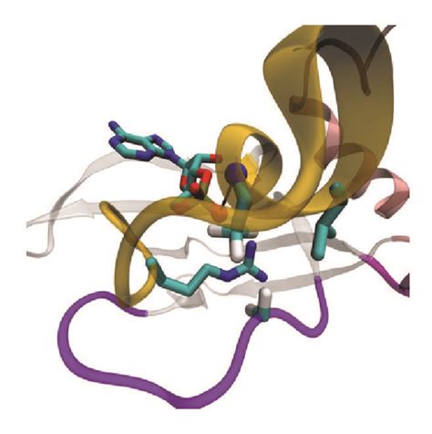 A Domain Conformational Transition Event B A Before Event B