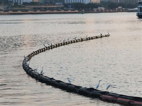 三角函数圆算术运算 知乎