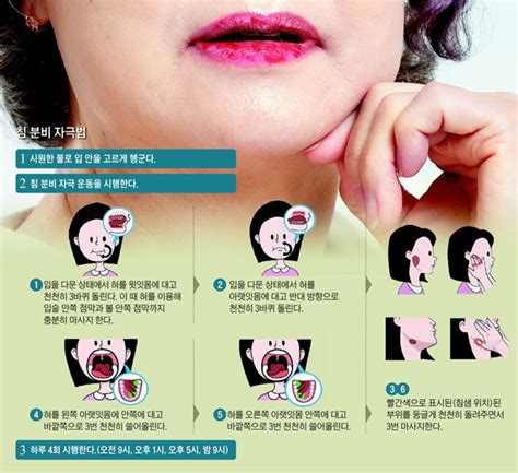 입 바짝 마르세요 매일 1분씩 4회 침 분비 자극 운동하세요 당신의 건강가이드 헬스조선