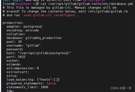 Gitlab设置普通用户为管理员gitlab管理员账号 Csdn博客