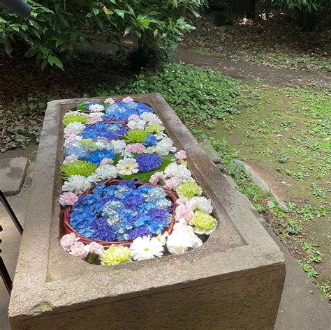 前玉神社 on Twitter 6月の花手水week開催中です 行田市花手水weekのお知らせ https t co