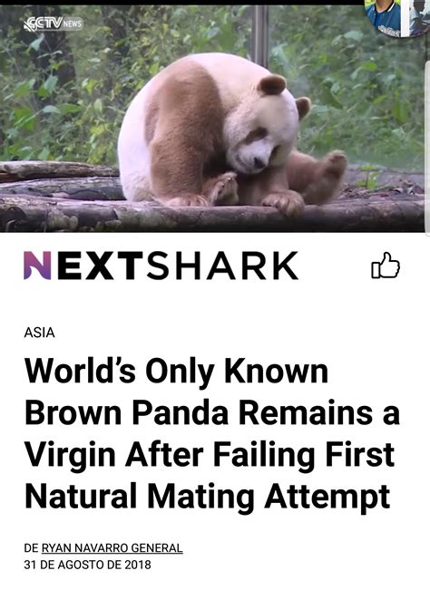 To Have Sex R Therewasanattempt