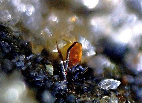 Mineralatlas Lexikon