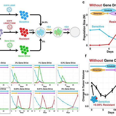Dual Switch Selection Gene Drives Demonstrate Evolutionary Control A