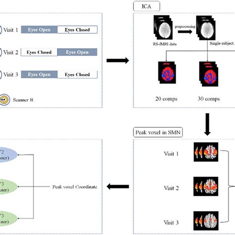A Flowchart Of The Experiment Design And Data Analyses Download