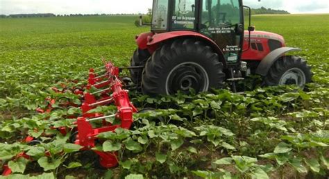 Център в Русе координира новите офиси на Национална служба за съвети в земеделието Утро