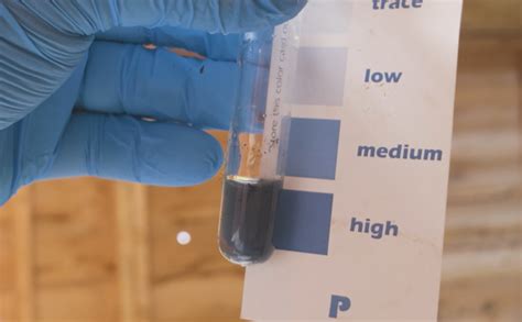 Aldi Compost Is It Any Good Patient Gardener