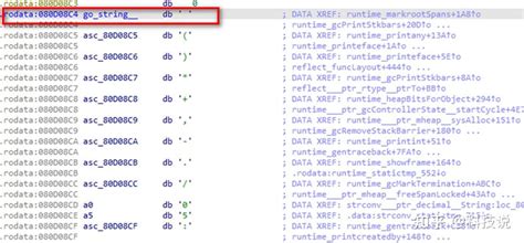 Go语言逆向技术之 常量字符串解密 知乎