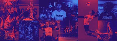 Dls Csb Vs Mu Womens Volleyball Round 2 Ncaa Season 100