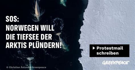 Michael Witter On Linkedin Protestmail Sos Aus Der Arktis Norwegen Stoppt Den Tiefseebergbau