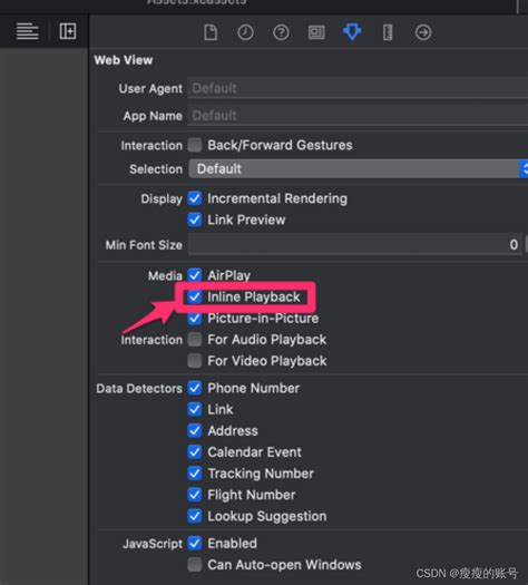 h5使用video标签解决自动全屏问题 x webkit airplay csdn博客