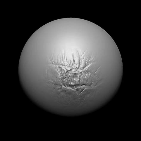 Zbrush Alpha Tree Bark Set02 Texture Cgtrader