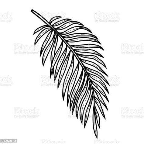 야자수 잎의 그림 포스터 엠블럼 배너 간판 티셔츠를위한 디자인 요소 벡터 일러스트 레이 션 0명에 대한 스톡 벡터 아트 및 기타 이미지 Istock