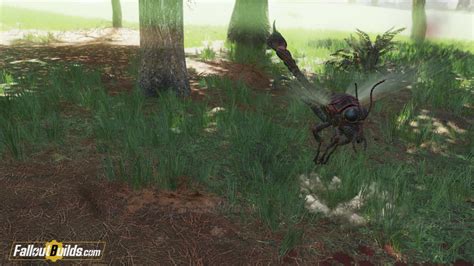 Fallout 76 Stingwing Locations Map