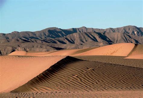 Desierto De Coahuila