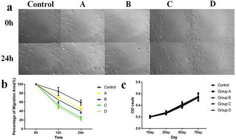 Cell Migration Experiment Athe Effect Of Different Groups On The