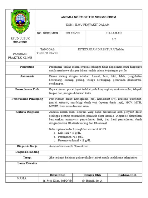 Anemia Normositik Normokrom Pdf