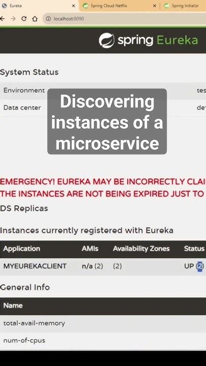 Microservices And Service Discovery Javadevelopment Programming