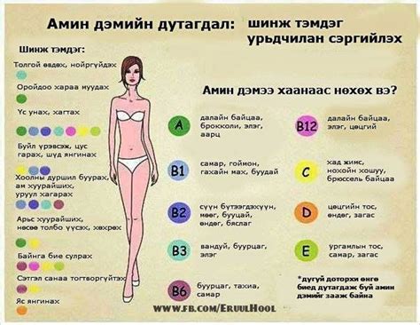 ИНФОГРАФИК Амин дэмээ ямар бүтээгдэхүүнээс нөхөх вэ