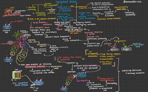 Our Complement System In 2025 Biochemistry Notes Learning Psychology