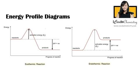 Exploring The Exothermic Enthalpy Diagram Wiremystique