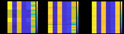 Task Irrelevant Activation Coefficients Dataset 3 [25] Dynamic